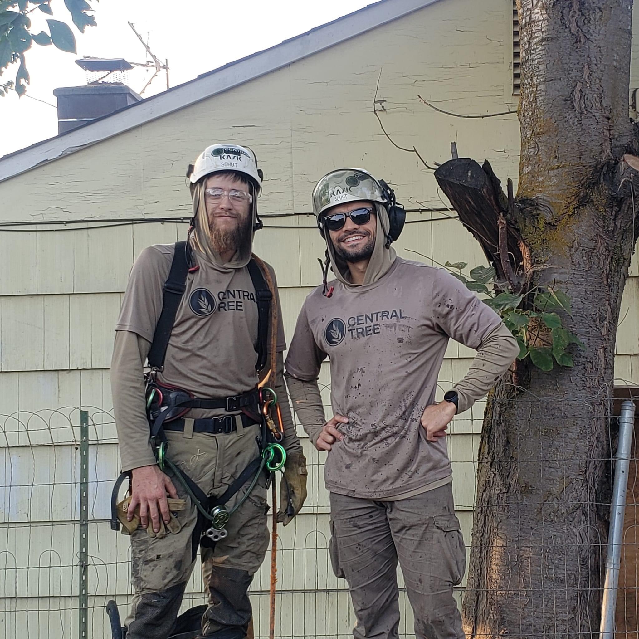 Professional Tree Care in Yakima, WA | Central Tree